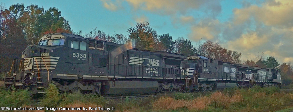 NS 8338